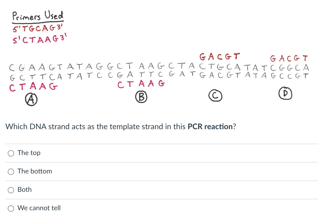 Solved code class="asciimath">( ﻿Primers Used | Chegg.com