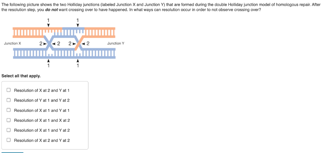 Solved The following picture shows the two Holliday | Chegg.com