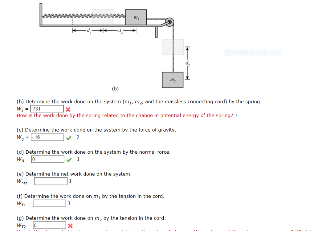 Solved You have two equal masses mi and m2 and a spring with | Chegg.com