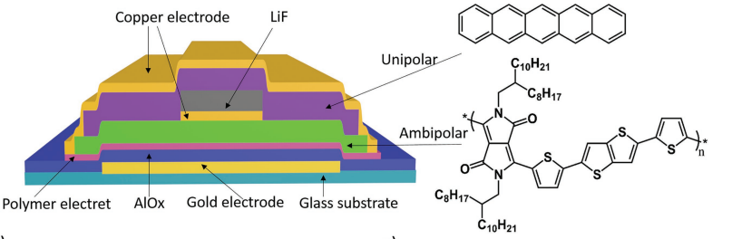 Solved please explain about hysteresis loop. why it occurs? | Chegg.com