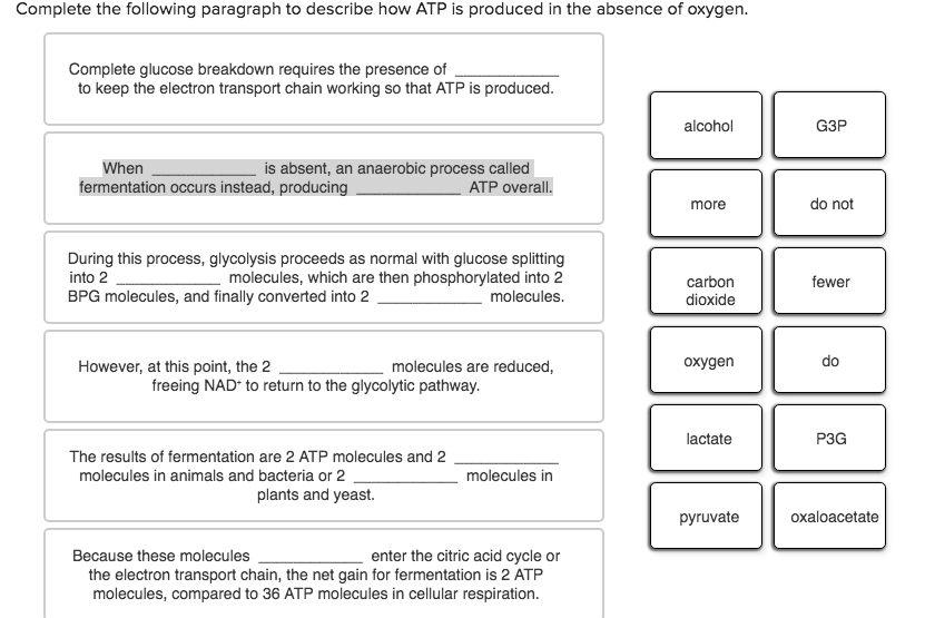 Solved Complete the following paragraph to describe how ATP | Chegg.com