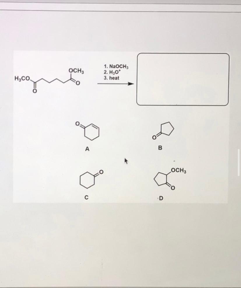 Solved 1. NaOCH3 2. H3O+ 3. heat A B C DWhich of the | Chegg.com