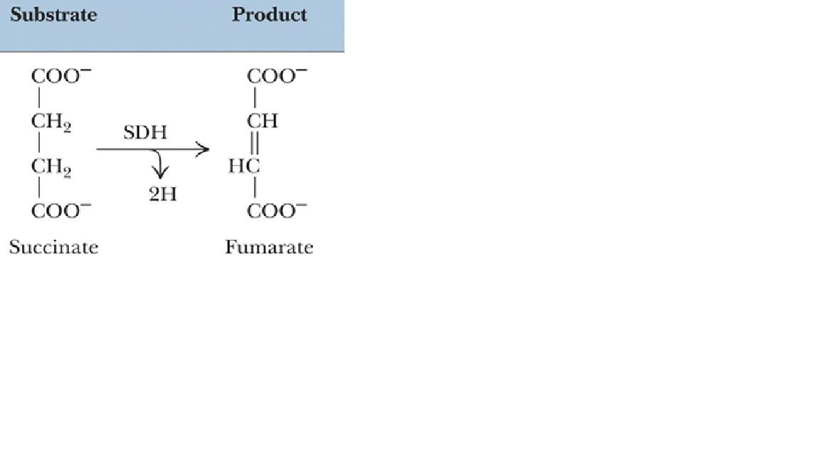 Solved 1. a) The enzyme shown (SDH) is catalyzing which | Chegg.com