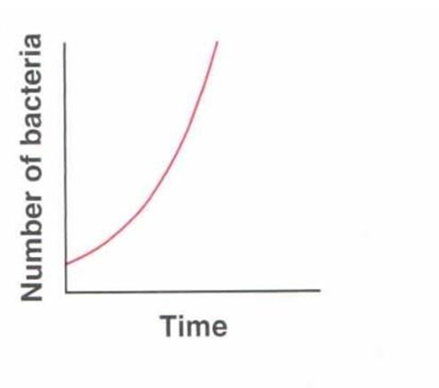 Solved 1. Describe the relationship between the Number of | Chegg.com