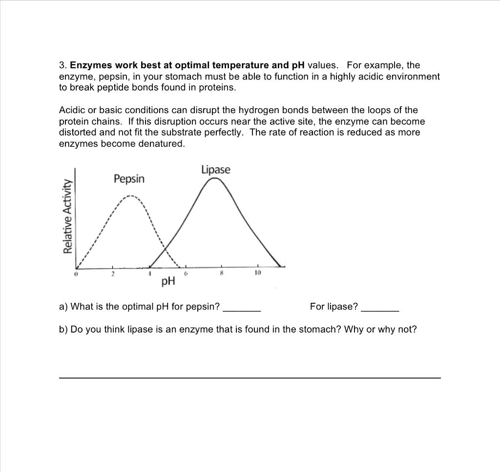 Solved 3. Enzymes work best at optimal temperature and pH | Chegg.com