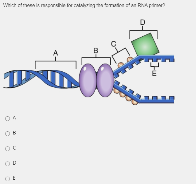 Solved Which of these is responsible for catalyzing the | Chegg.com