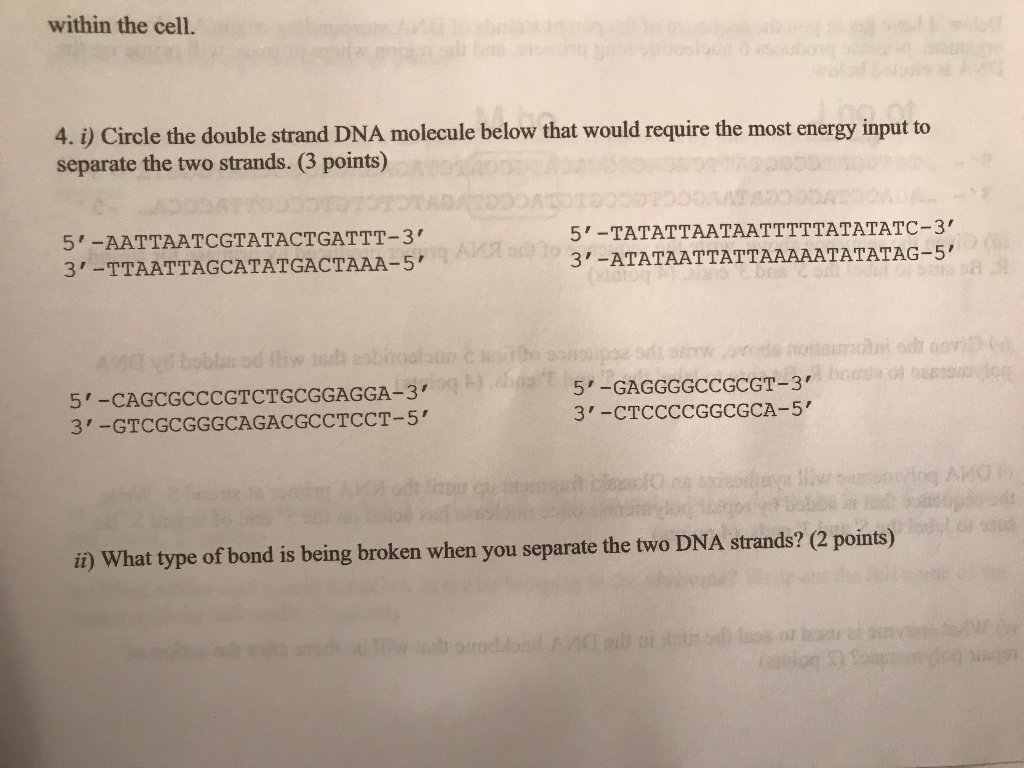 Solved within the cell. 4. i) Circle the double strand DNA | Chegg.com