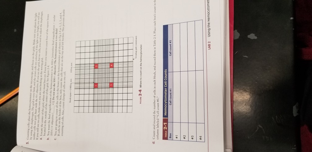 Solved Using the LAB 2 Hemocytomet Z# aunos j L junos xog | Chegg.com