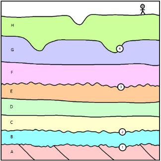 Solved Based on the fossils given in the interactive | Chegg.com
