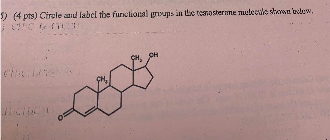 Solved 5) (4 pts) Circle and label the functional groups in | Chegg.com