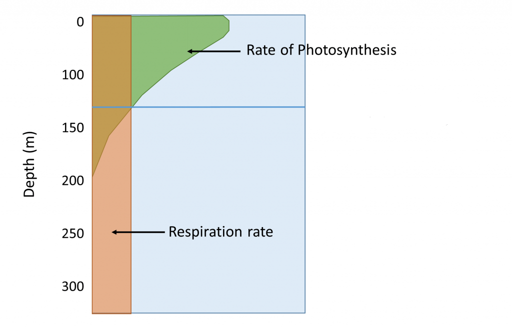 Solved Use the figure below as a guide to explain the | Chegg.com