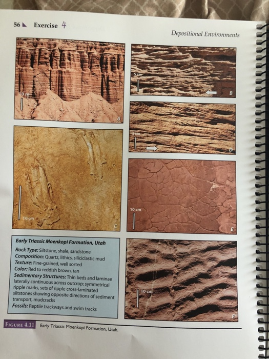 Solved Exercise 4 Depositional Environments 55 PART E | Chegg.com