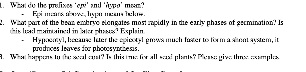 Solved 1. What do the prefixes ‘epi' and 'hypo' mean? Epi | Chegg.com