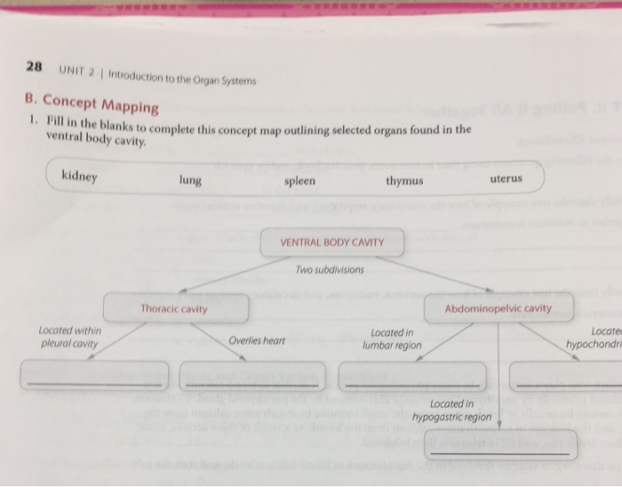 Solved 28 UNIT 2 | Introduction to the Organ Systems B. | Chegg.com Solved 28 UNIT 2 | Introduction to the Organ Systems B. | Chegg.com