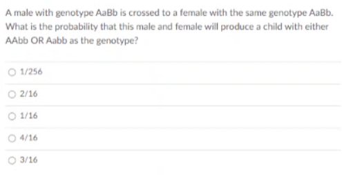 Solved A male with genotype AaBb is crossed to a female with | Chegg.com