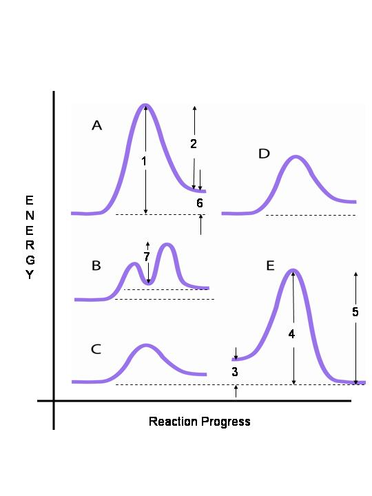 The Plots Below Show The Energy Profiles For Five ... | Chegg.com