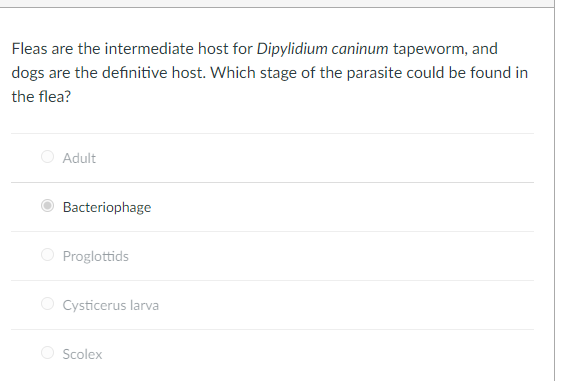 Solved Fleas Are The Intermediate Host For Dipylidium