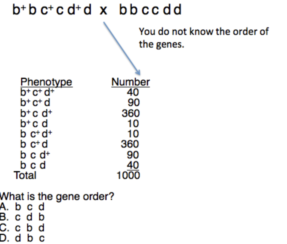 Solved What is the gene order?A. bcdB. cdbC. c,b ﻿dD. dbc | Chegg.com