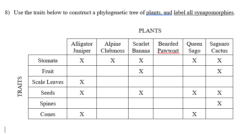Solved 8) Use the traits below to construct a phylogenetic | Chegg.com