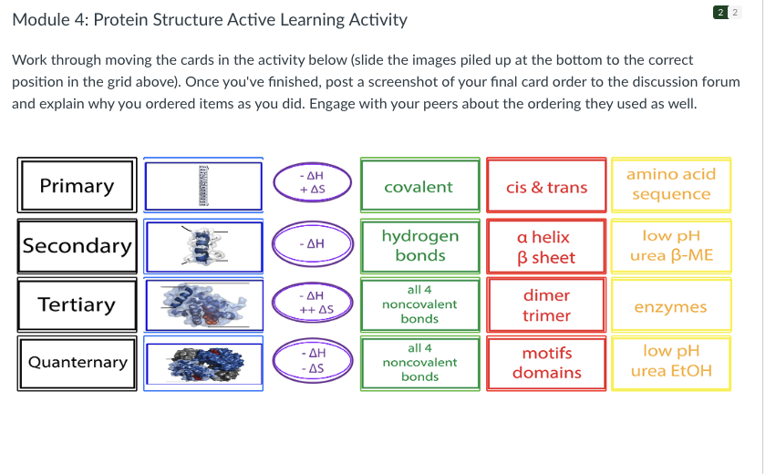 Module 4: Protein Structure Active Learning Activity | Chegg.com