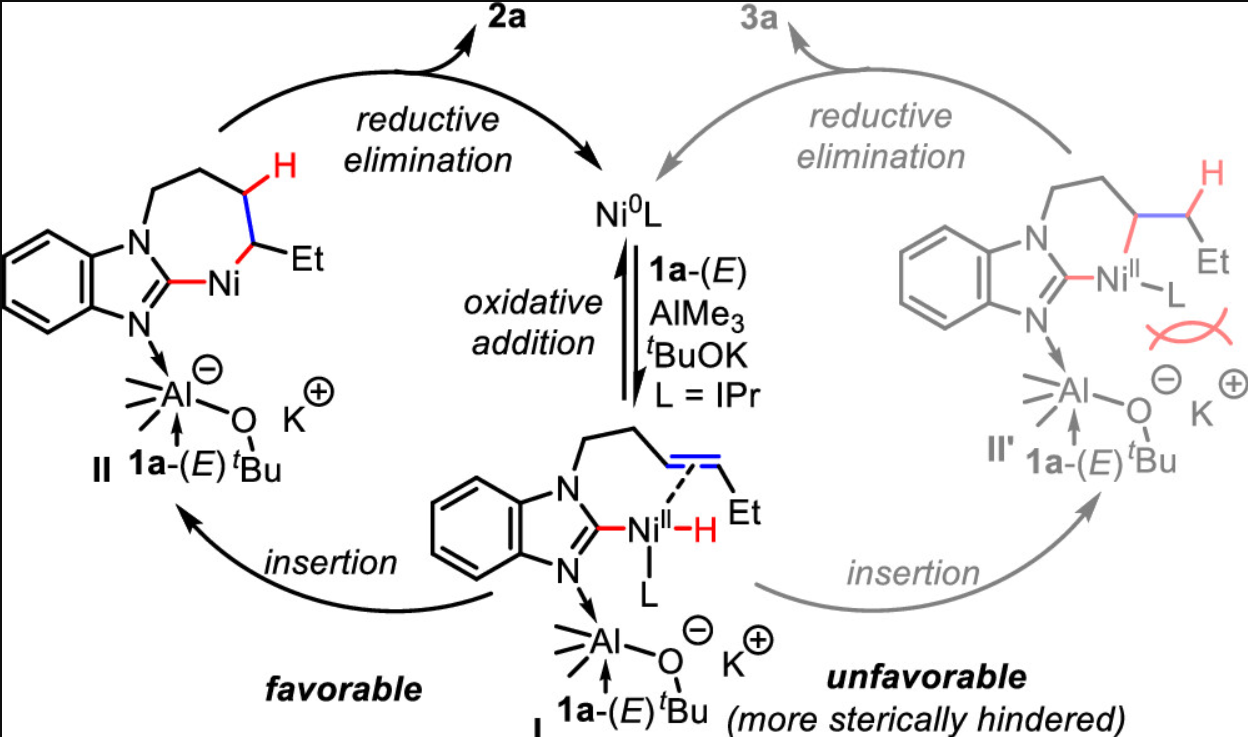 Can you show the mechanism of the endo product and | Chegg.com