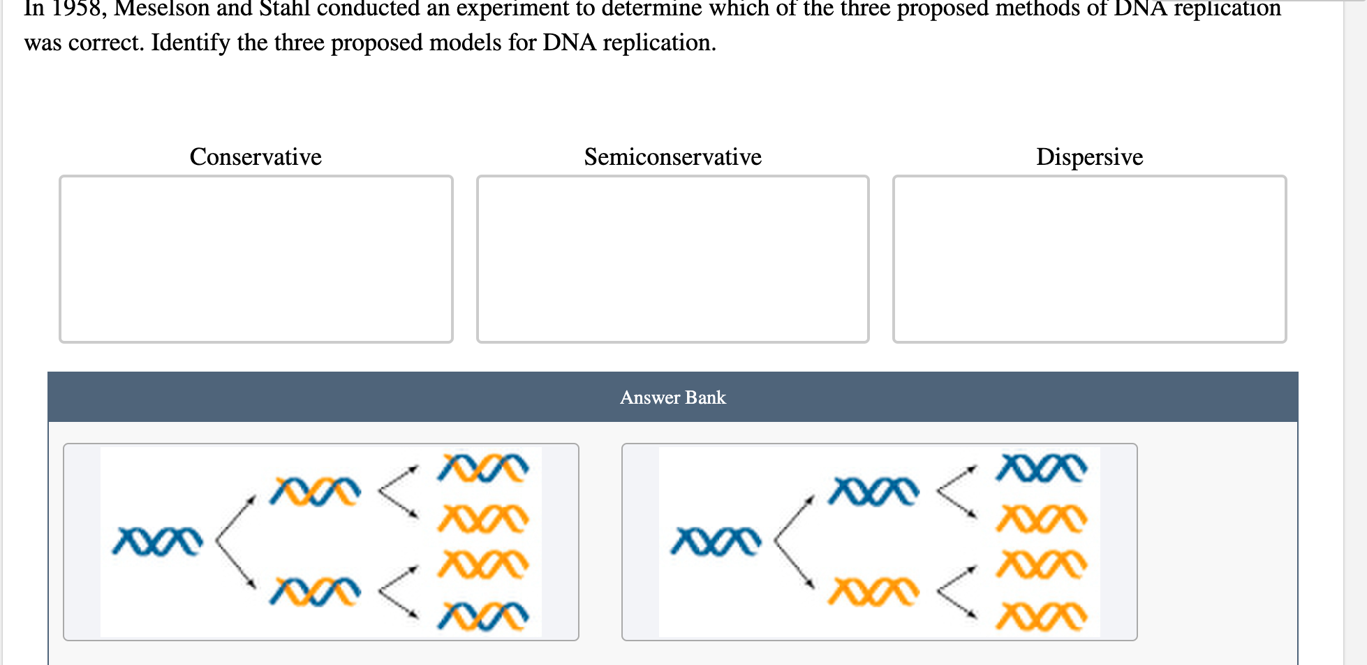 Solved In 1958, Meselson and Stahl conducted an experiment | Chegg.com