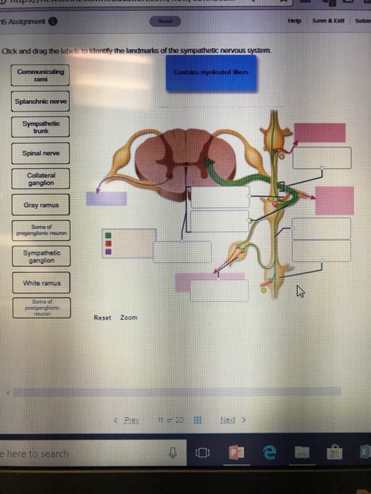 Solved S Assignment。 Help Save&Ext Subn Click and drag the | Chegg.com Solved S Assignment。 Help Save&Ext Subn Click and drag the | Chegg.com