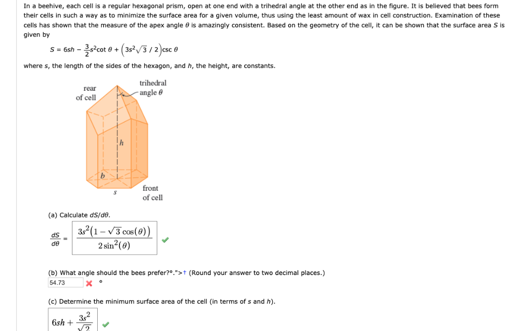 Solved In a beehive, each cell is a regular hexagonal prism, | Chegg.com