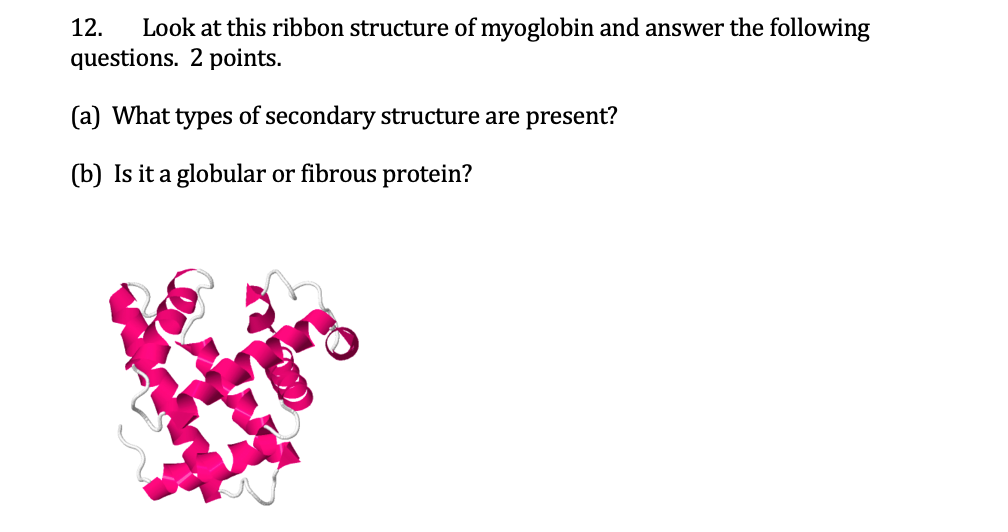 Solved 12. Look at this ribbon structure of myoglobin and | Chegg.com