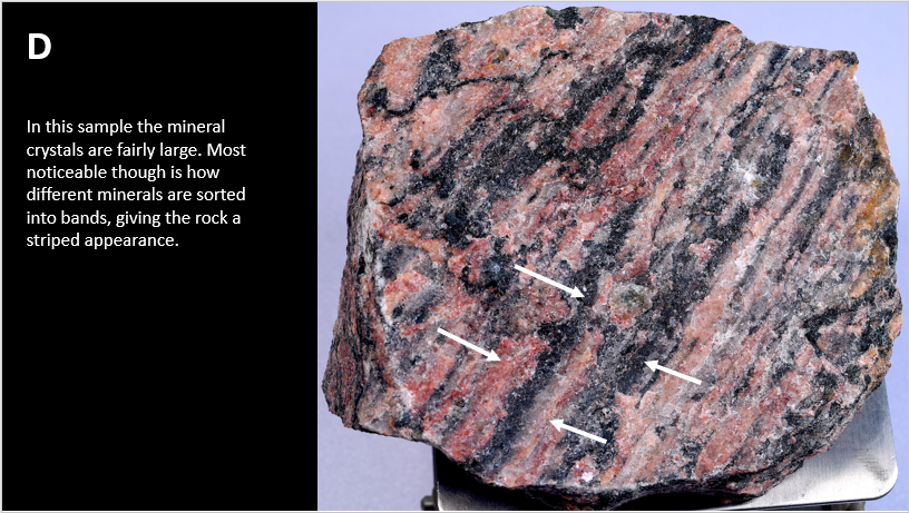 Solved Use the Metamorphic rock images file and the | Chegg.com
