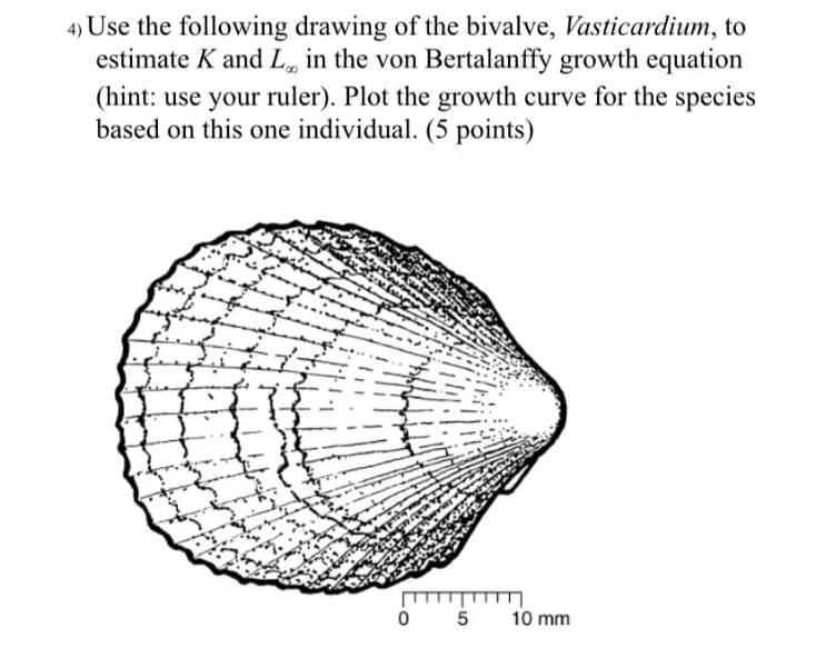 Solved 4) Use the following drawing of the bivalve, | Chegg.com