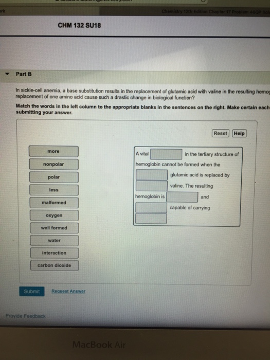 Solved CHM 132 SU18 Part B In sickle-cell anemia, a base | Chegg.com