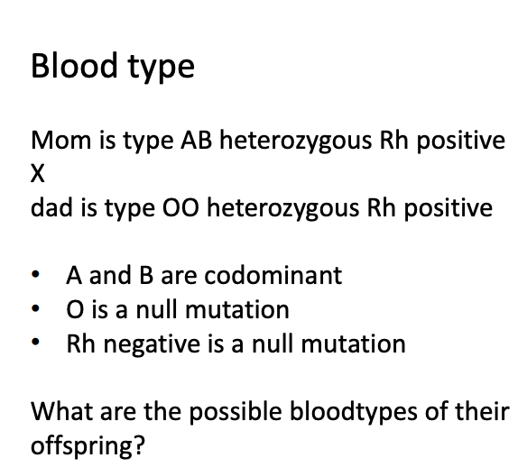 Solved Blood type Mom is type AB heterozygous Rh positive X | Chegg.com