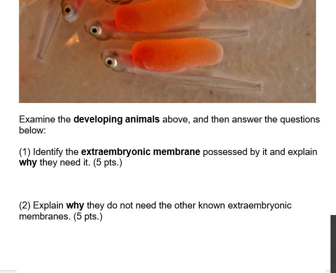 Solved Examine the developing animals above, and then answer | Chegg.com