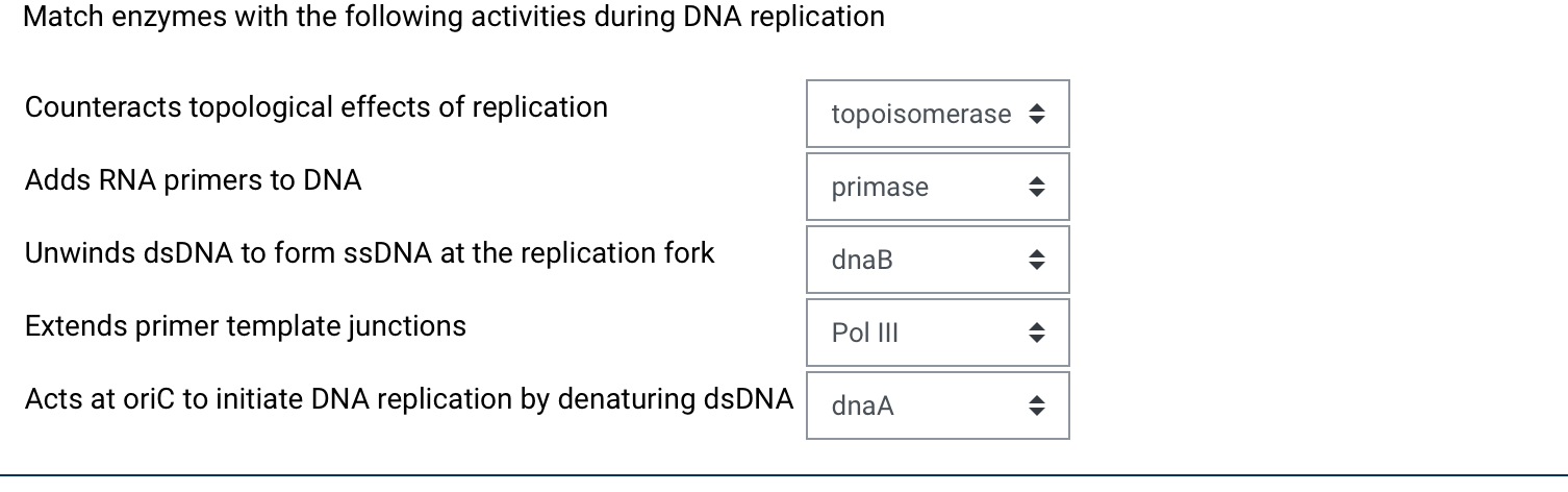 Solved Match enzymes with the following activities during | Chegg.com