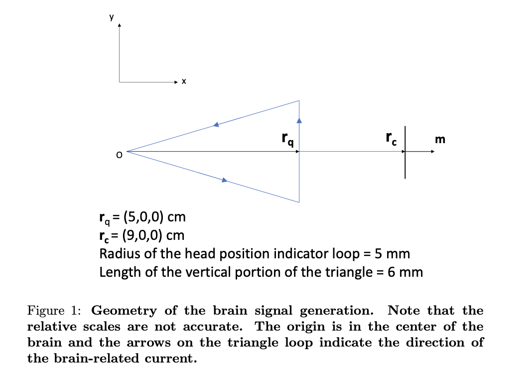4. Introduction to MEG: Brain activity is associated | Chegg.com