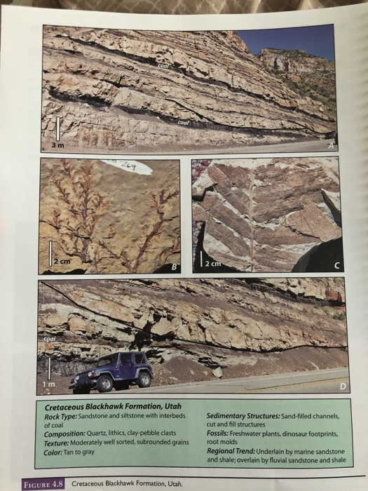 Solved PART B Blackhawk Formation, Cretaceous, Price Canyon, | Chegg.com
