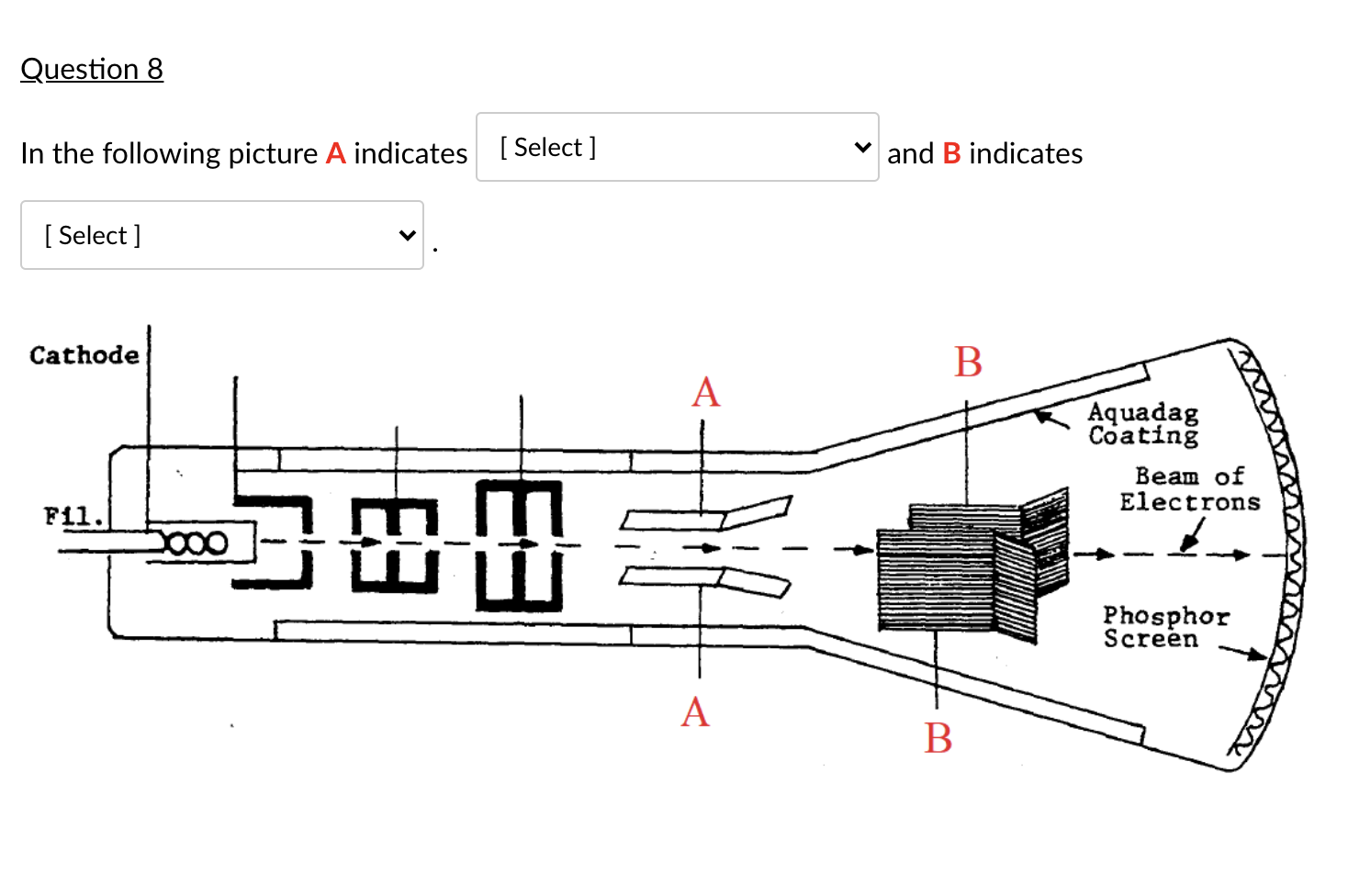 Solved Question 8 In the following picture A indicates | Chegg.com