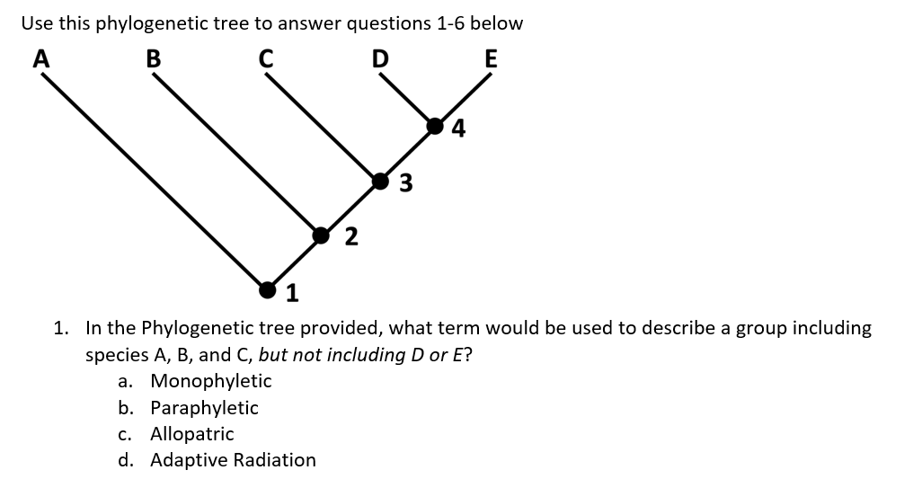 Solved Use this phylogenetic tree to answer questions 1-6 | Chegg.com