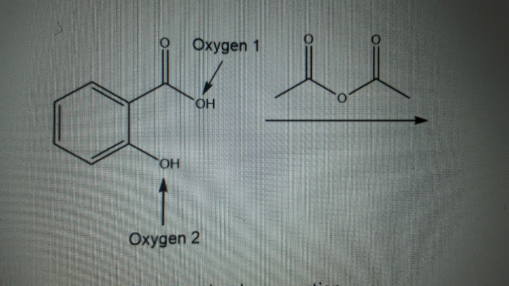 Solved I am looking to get some help with finding the which | Chegg.com