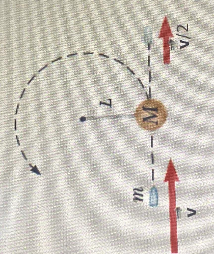 Solved As shown below, a bullet of mass m and speed v is | Chegg.com