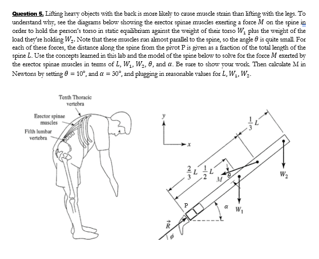Solved Question 5. Lifting heavy objects with the back is | Chegg.com