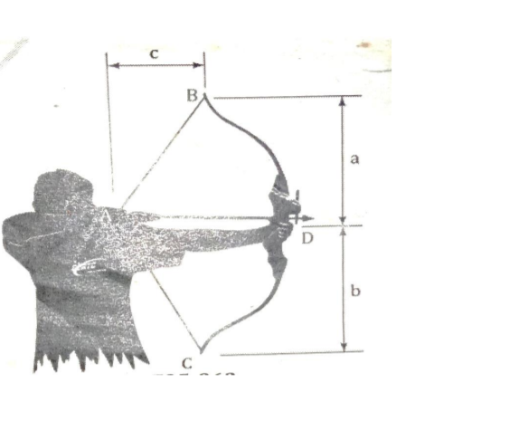 Solved The archer pulls his bowstring back “c” by exerting a | Chegg.com