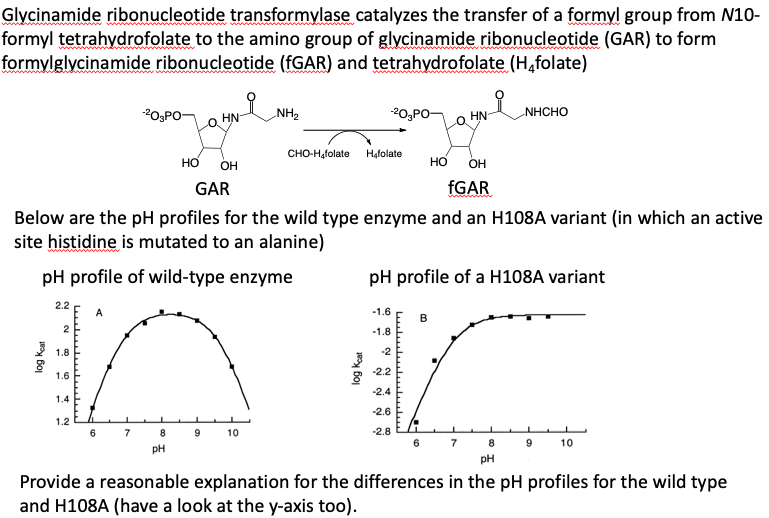 Glycinamide ribonucleotide transformylase catalyzes | Chegg.com