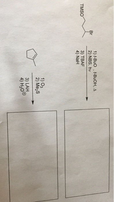 Solved 1) t-BuO , t-BuOH, Δ 2) NBS, hv Br 3) TBAF 4) NaH | Chegg.com