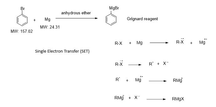 Solved MgBr + anhydrous ether Mg MW: 24.31 Grignard reagent | Chegg.com