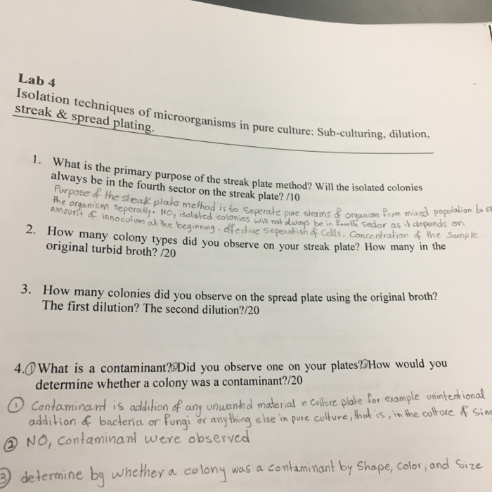 Solved Lab 4 Isolation techniques of microorganism streak | Chegg.com