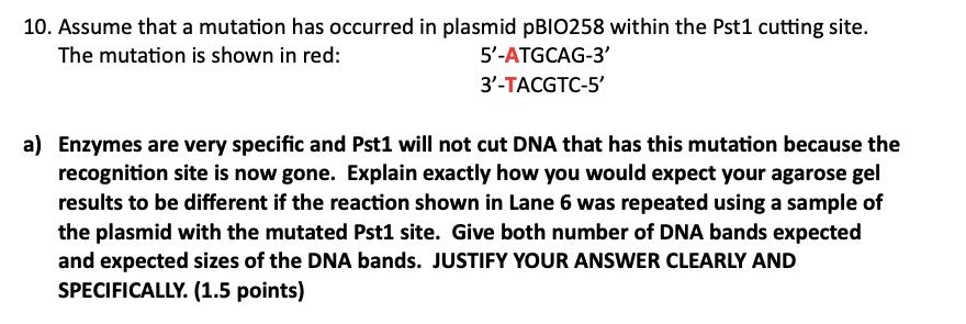 Recognition site for restriction endonuclease Pst1: | Chegg.com