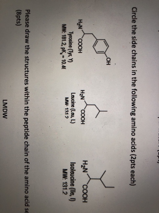 Solved Circle the side chains in the following amino acids | Chegg.com