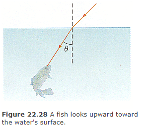 Solved e 1 Figure 22.28 A fish looks upward toward the | Chegg.com